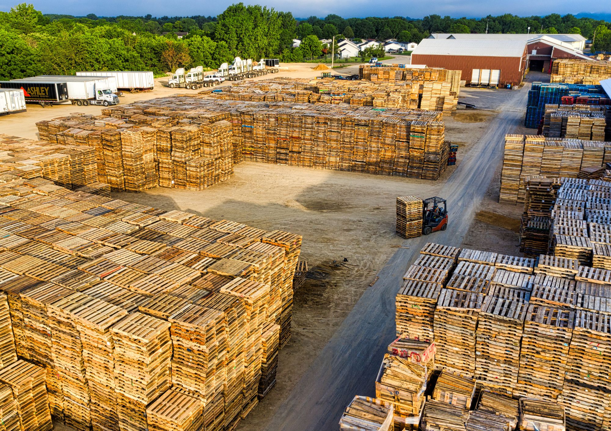 Reciclaje De Palets